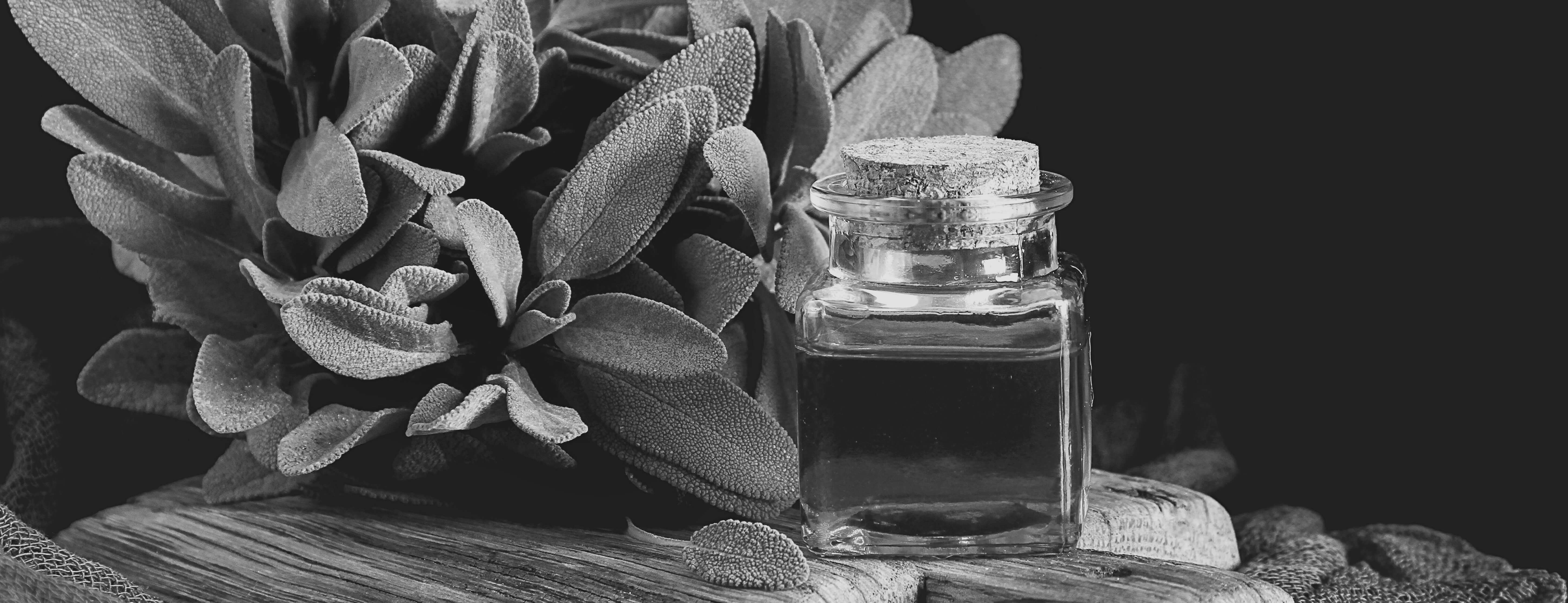 5 Full Body Benefits from Sage Oil – Puristry