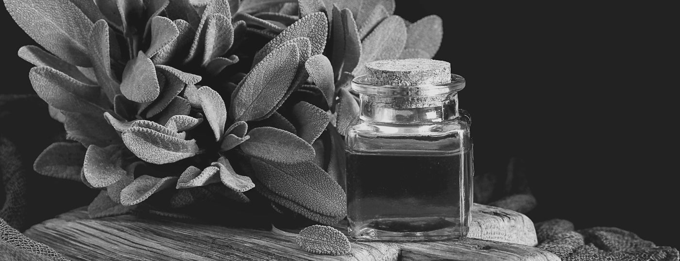 5 Full Body Benefits from Sage Oil - Puristry